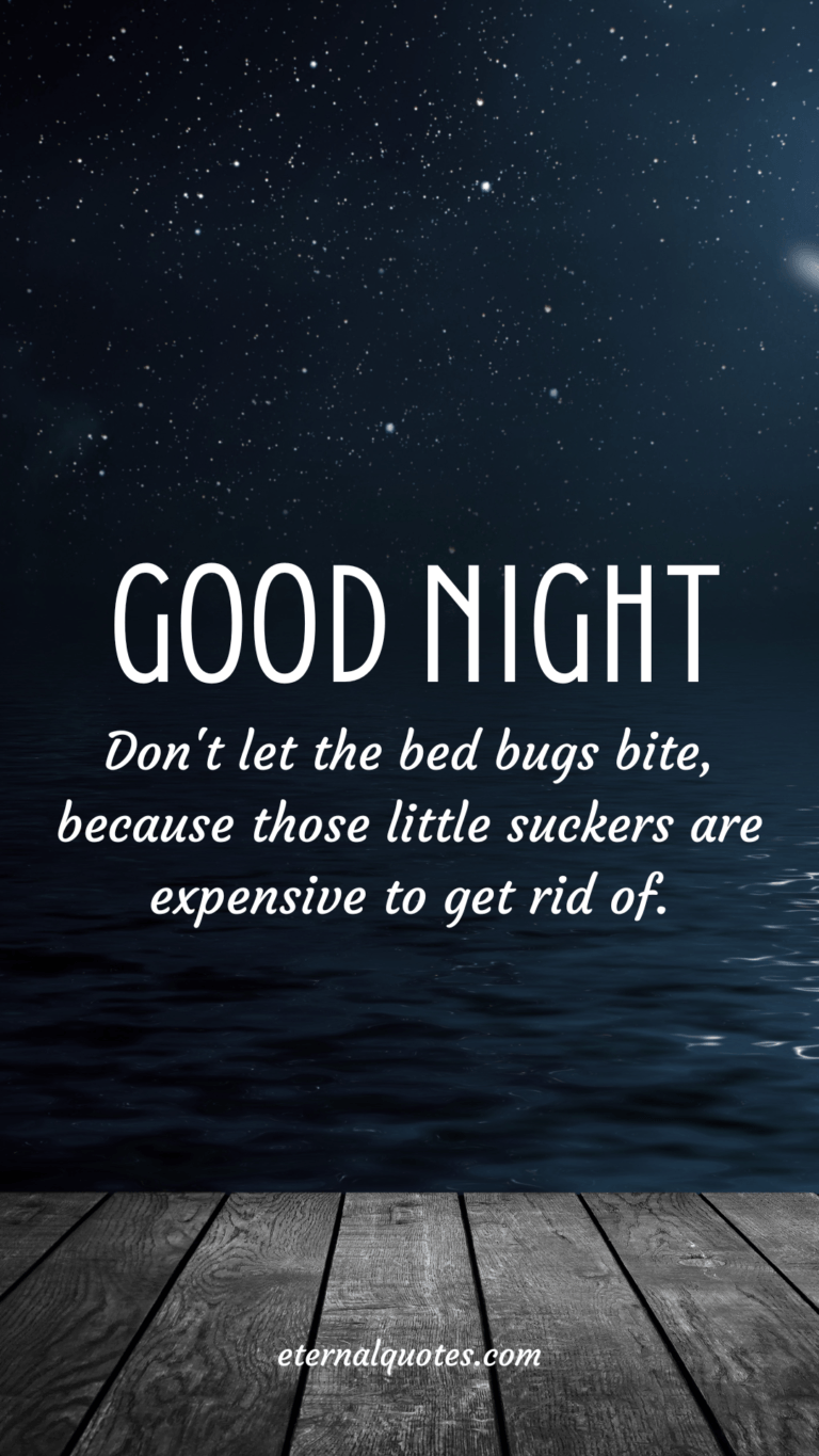Funny Good Night Quotes – eternalquotes.com