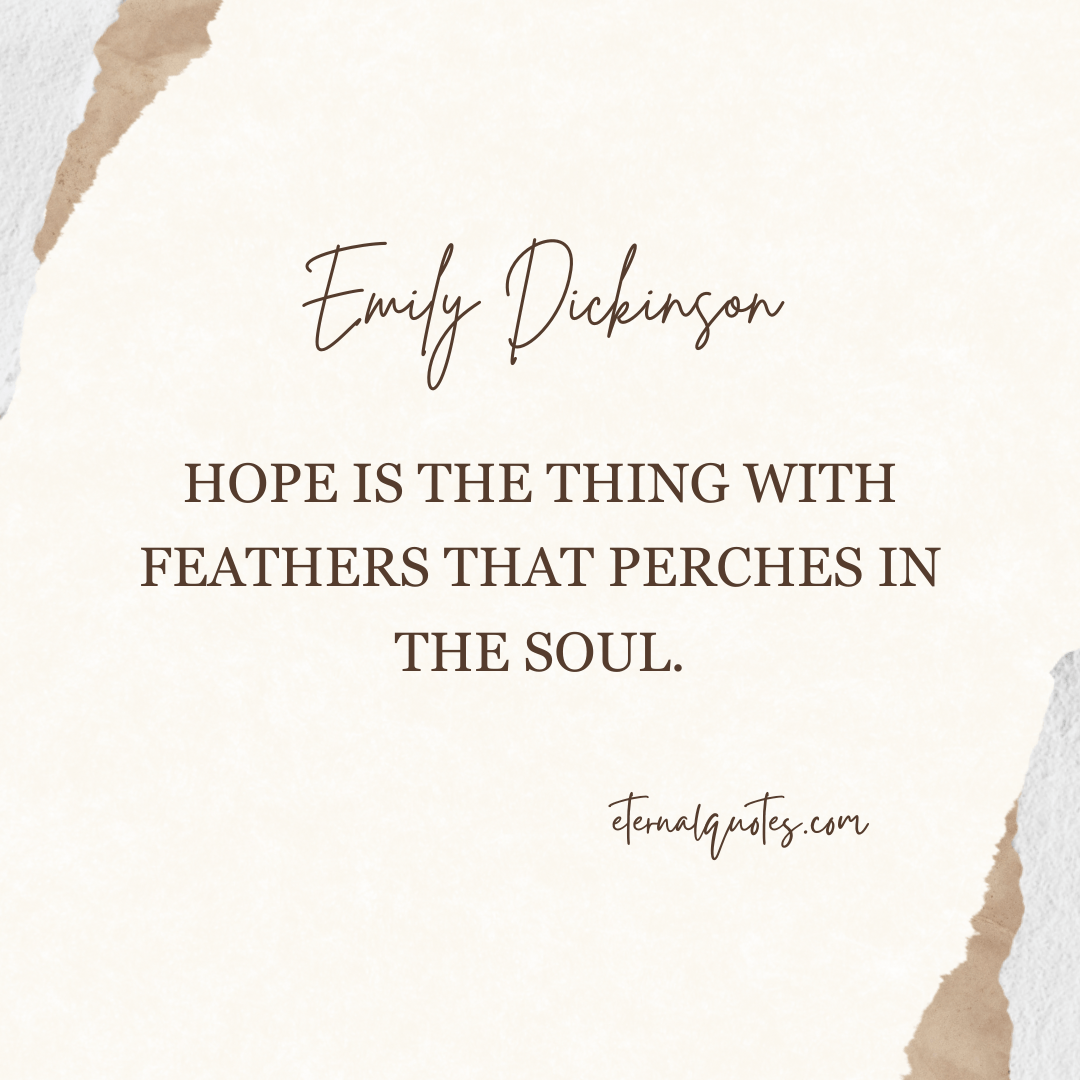 Book Quotes – eternalquotes.com